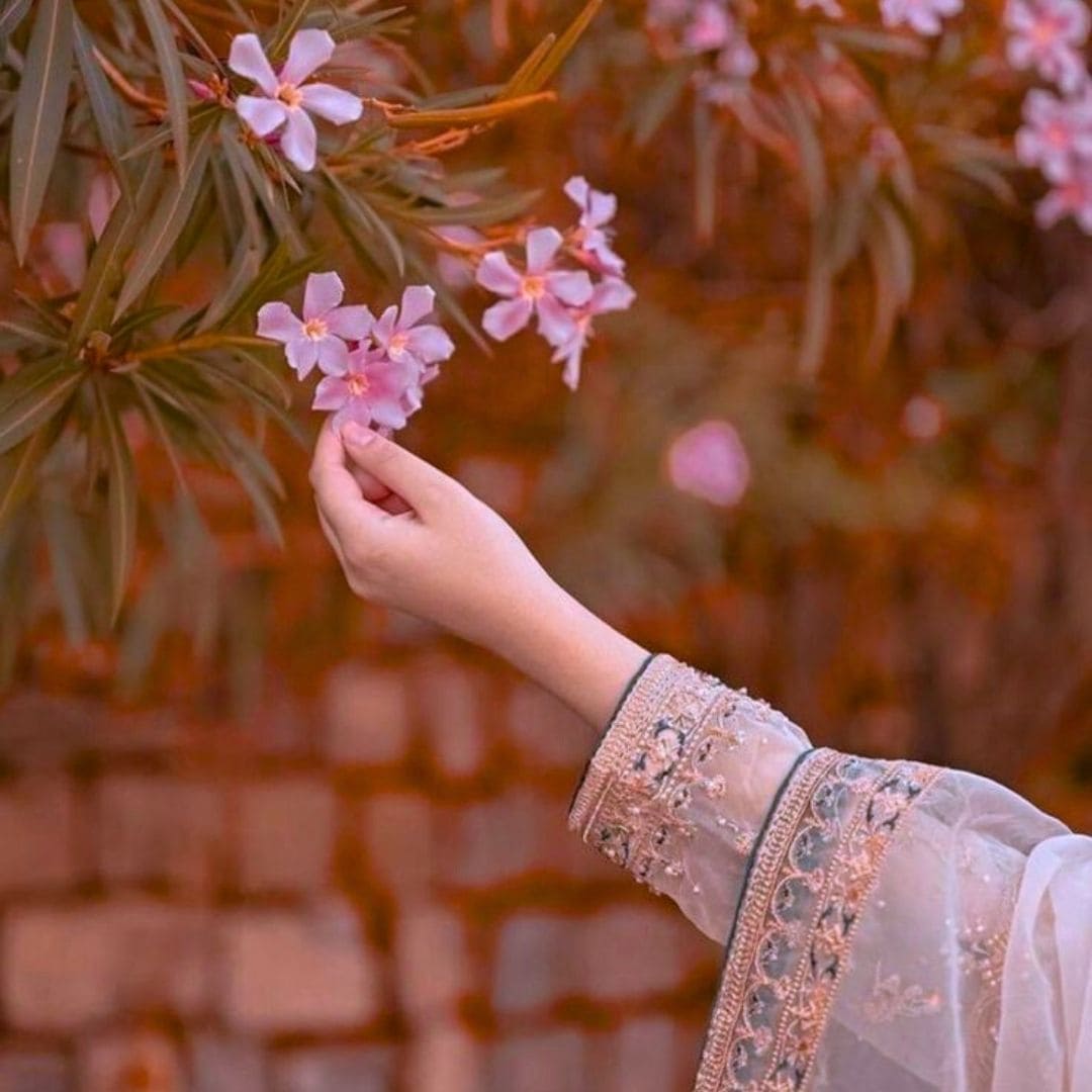 365+ Standard Whatsapp DP, Images, Photos, Pictures & Wallpaper New HD ...